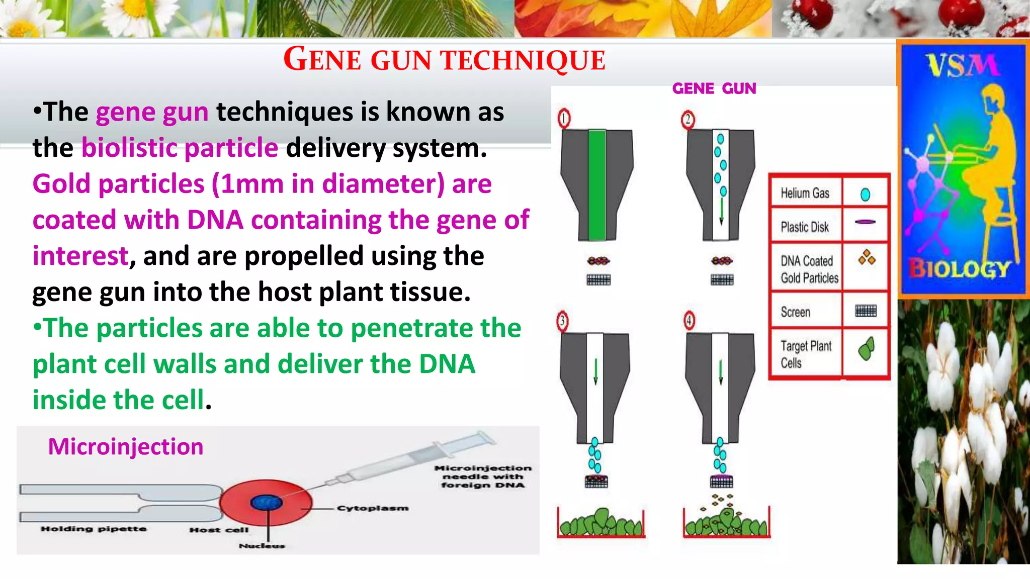 Bio. tech. pr.& process | PDF