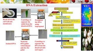 Bio. tech. pr.& process | PDF
