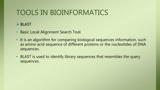 Bioinformatics | PPT