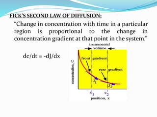 DIFFUSION PRINCIPLES IN BIOLOGICAL SYSTEMS | PDF | Chemistry | Science