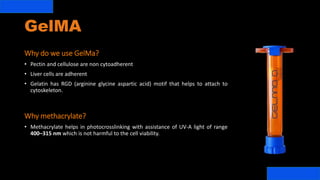 Fabrication of novel Bioink for 3D printing | PPTX