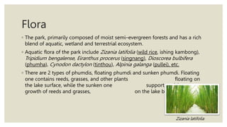 Keibul Lamjao National Park Manipur.pptx