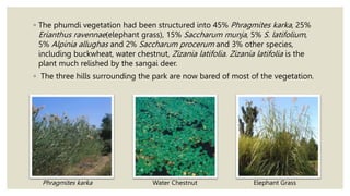 Keibul Lamjao National Park Manipur.pptx