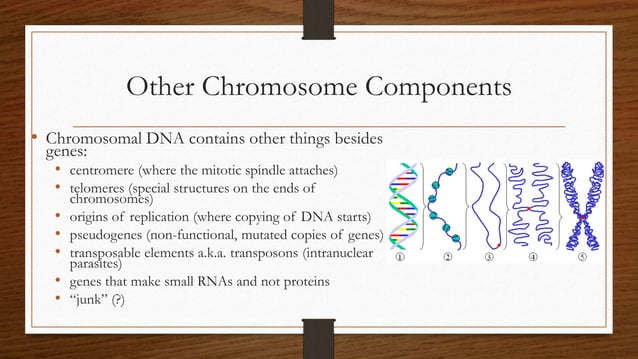 BiologyEcology-222-Genetics-topic1a.pptx