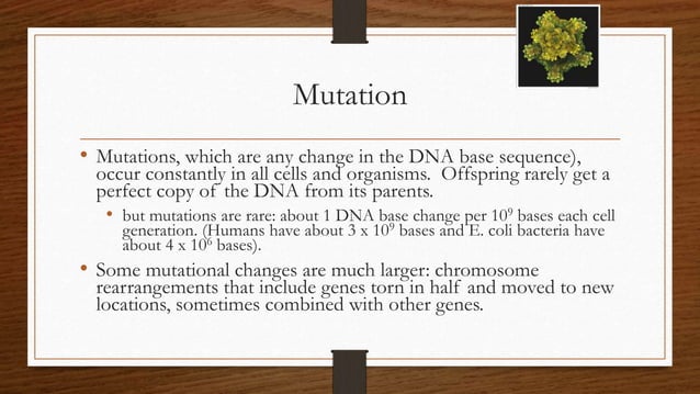 BiologyEcology-222-Genetics-topic1a.pptx