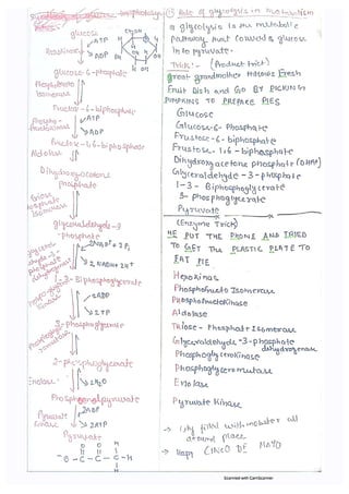 short notes bio | PDF