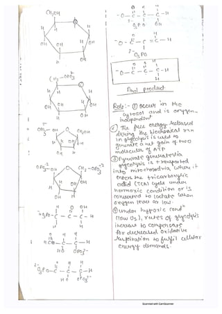 short notes bio | PDF