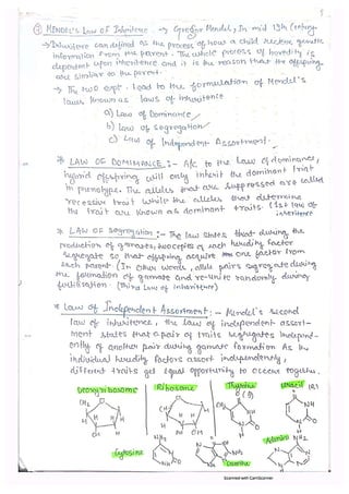 short notes bio | PDF