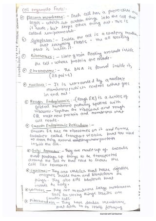 short notes bio | PDF