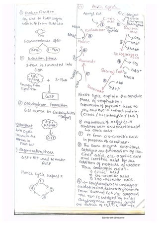 short notes bio | PDF