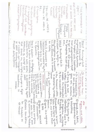 short notes bio | PDF