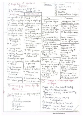 short notes bio | PDF