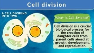 BIO.pptx“Mitosis AND MEIOSIS -BIOLOGY STUDY | PPT