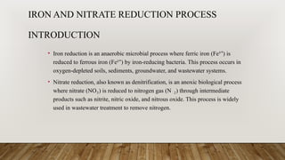 Bioremediation anaerobic process, sulphur, nitrate, iron reduction ...