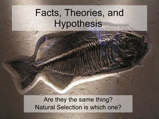 Bio 409 Facts, Theories, And Hypothesis | PPT
