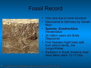 Bio 409 Facts, Theories, And Hypothesis | PPT