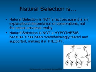 Bio 409 Facts, Theories, And Hypothesis | PPT