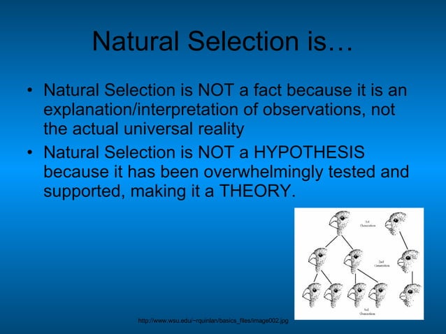 Bio 409 Facts, Theories, And Hypothesis | PPT