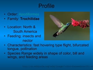 Bio 409 Facts, Theories, And Hypothesis | PPT