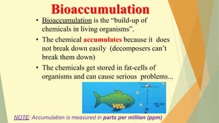The Bio accumulation of heavy metals | PPTX