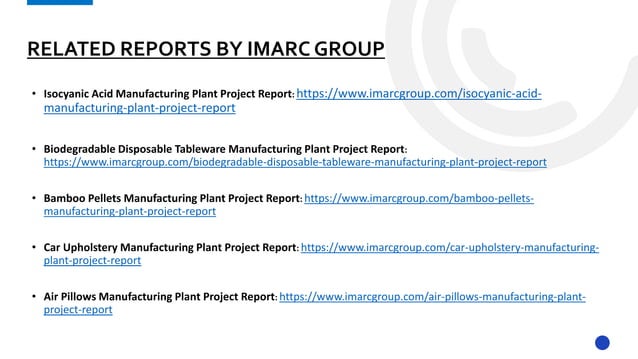 Bio-Based Plastics Manufacturing Plant Project Report.pptx