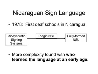 Bio Basis Of Language | PPT