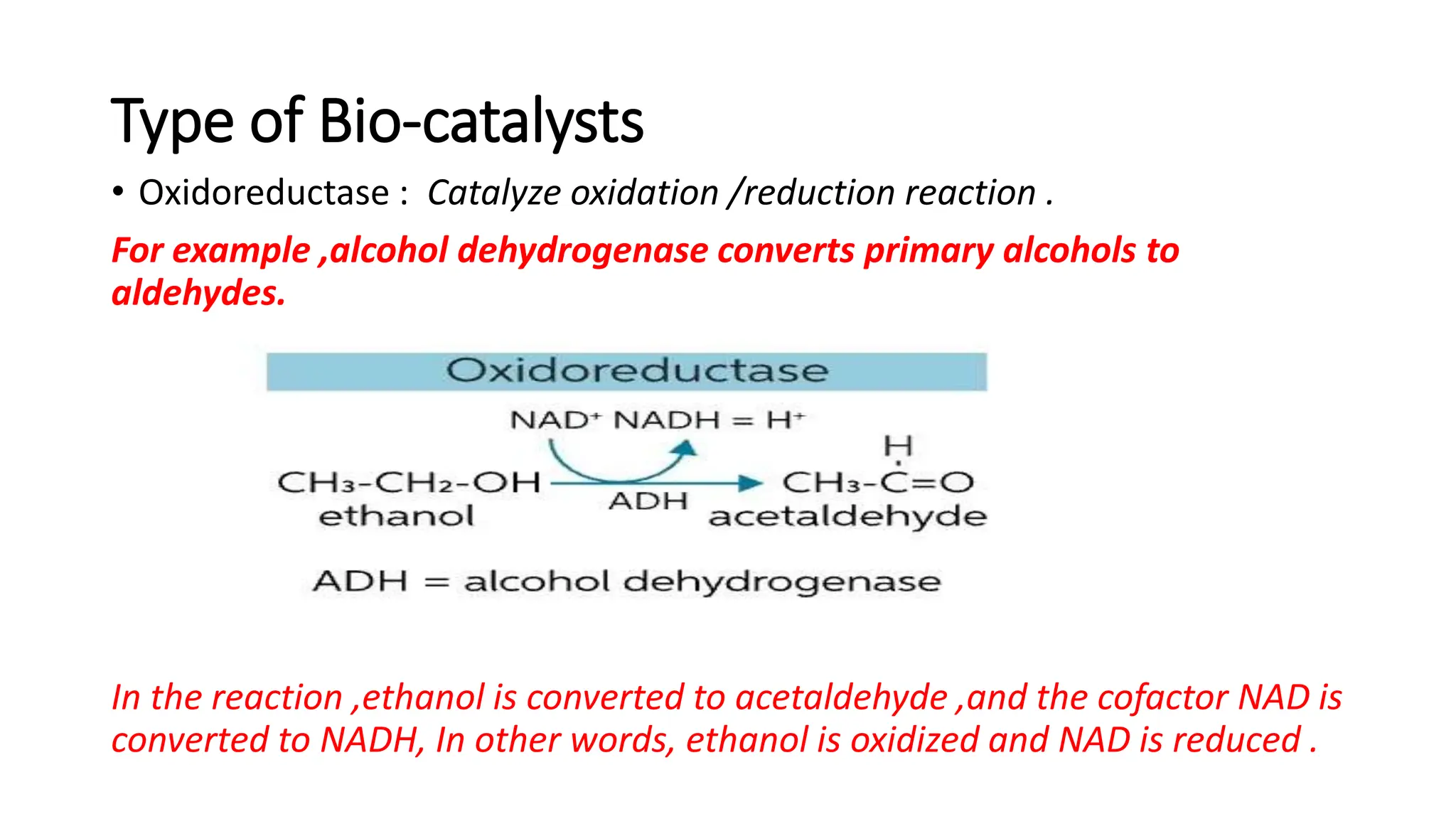 Bio- catalysis.pptx