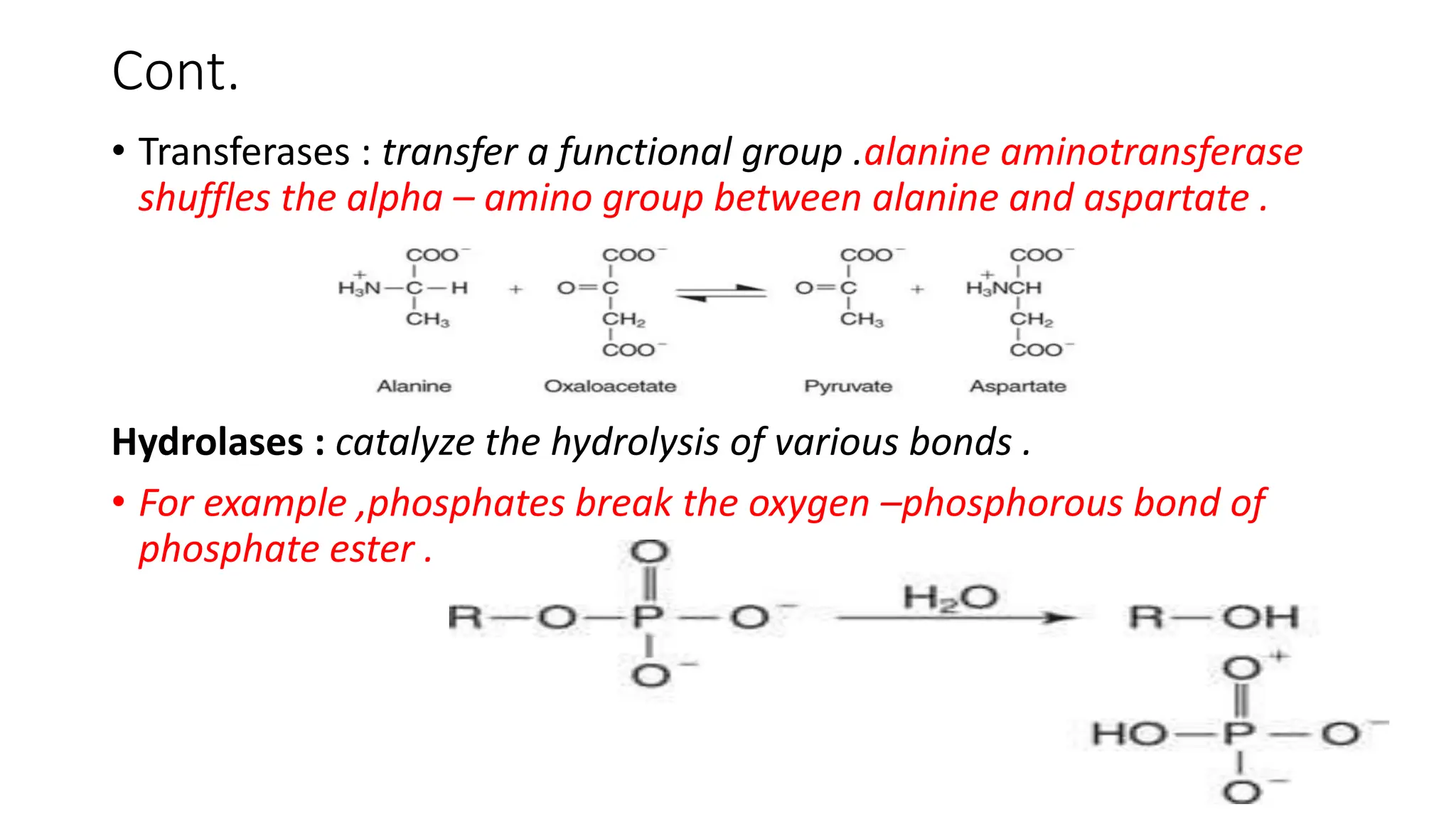 Bio- catalysis.pptx
