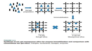 Bio- catalysis.pptx