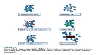 Bio- catalysis.pptx