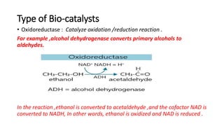 Bio- catalysis.pptx