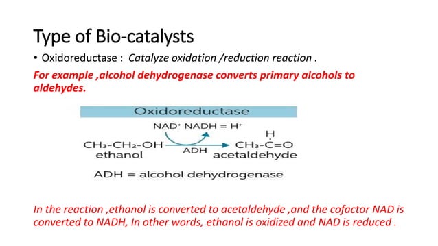 Bio- catalysis.pptx