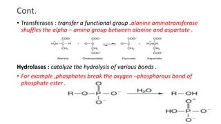 Bio- catalysis.pptx