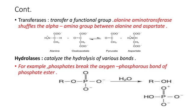 Bio- catalysis.pptx