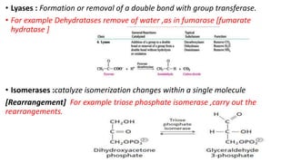 Bio- catalysis.pptx