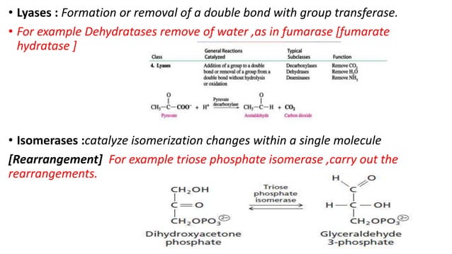 Bio- catalysis.pptx