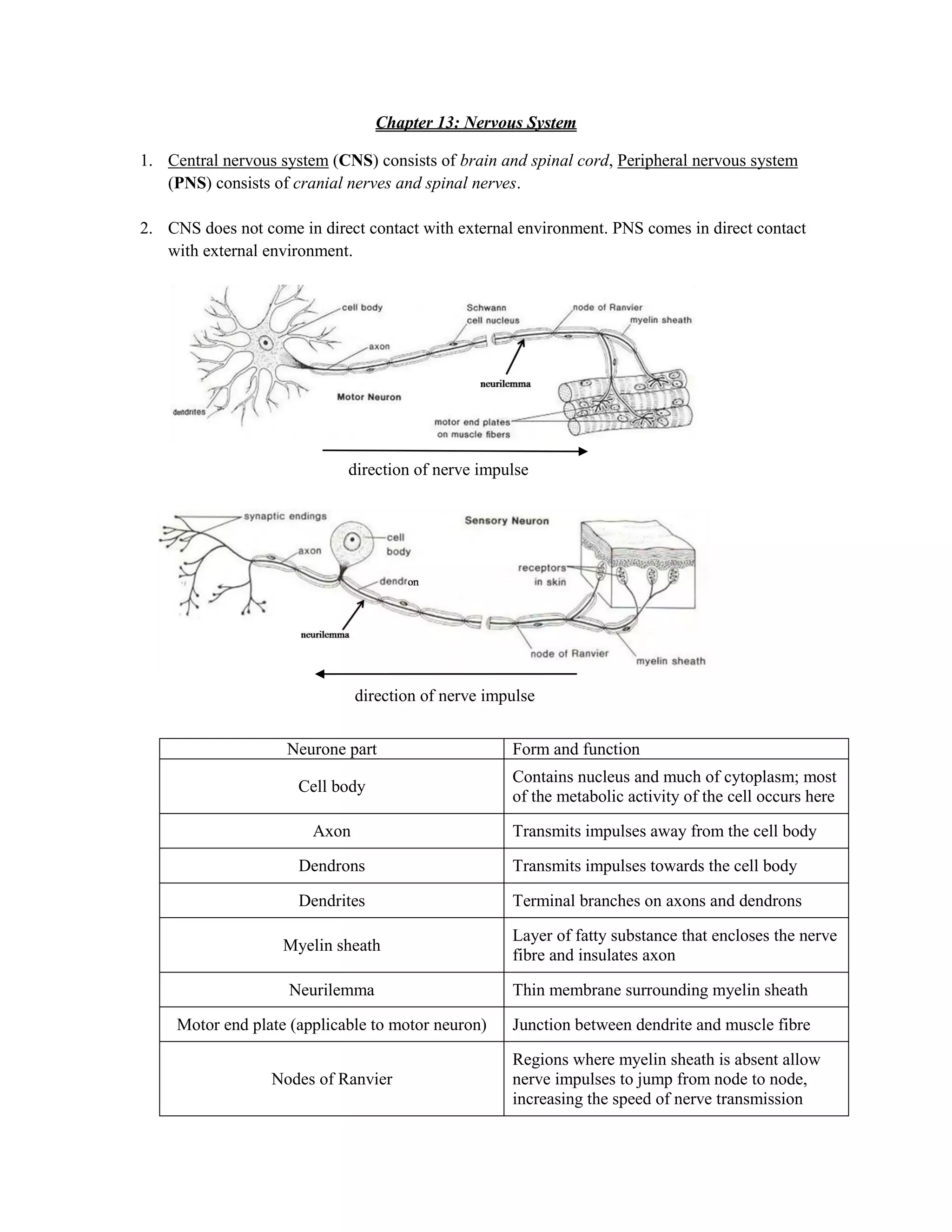 Biology - Chapter 11-15 - Excretion, Homeostasis, Nervous system, Eye ...