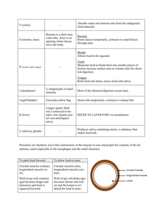 BIO - Chapter 6-9 - Human+Plant Nutrition+Transport | DOCX