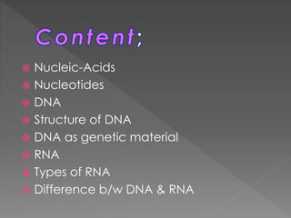 Nucleic Acid Dna And Rna