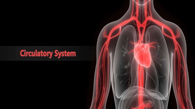 Bio ------------------------ Cirulatory System.pptx