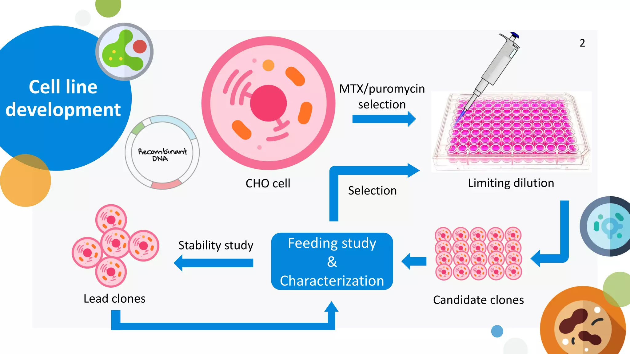 Bio cmc development | PDF
