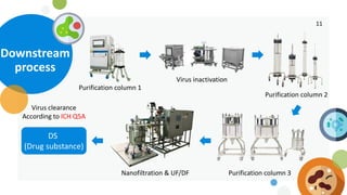 Bio cmc development | PDF