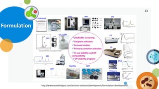 Bio cmc development | PDF