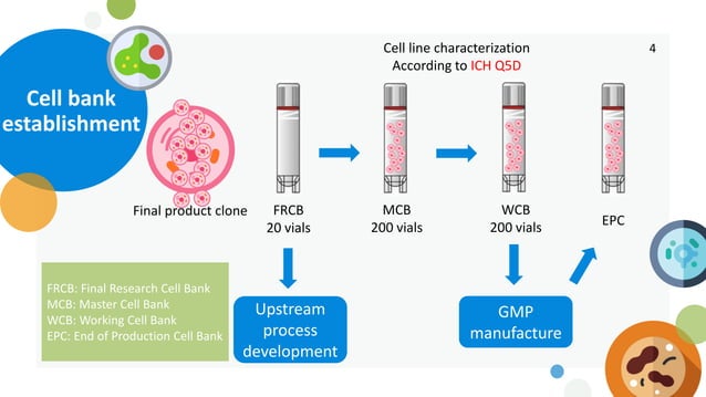 Bio cmc development | PPT