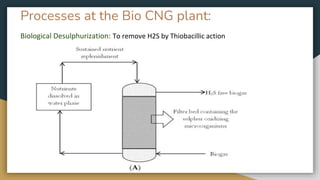 Bio cng | PPTX