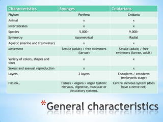 Bio.cnid.spong.review | PPT