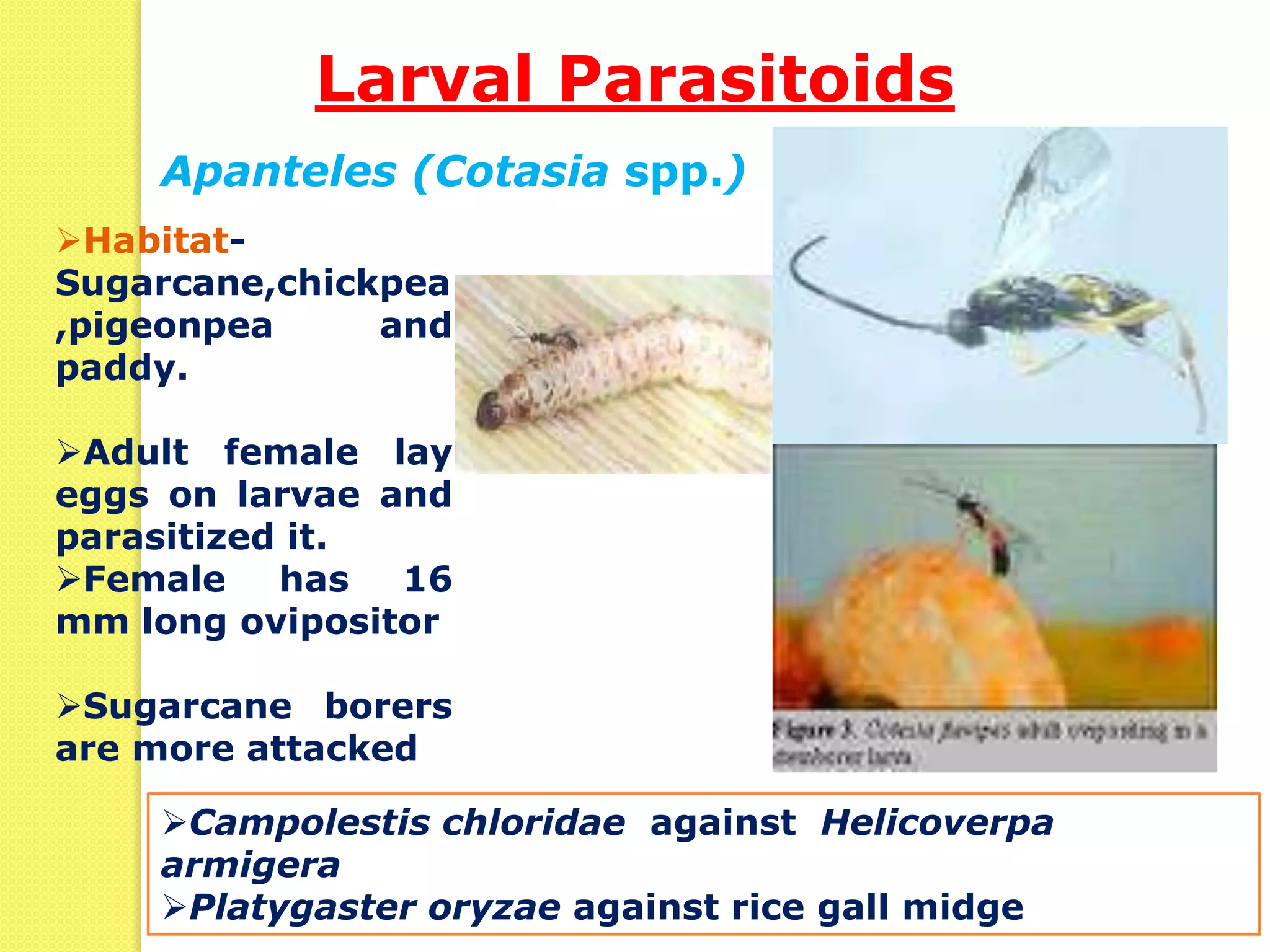 Bio control agent | PPTX