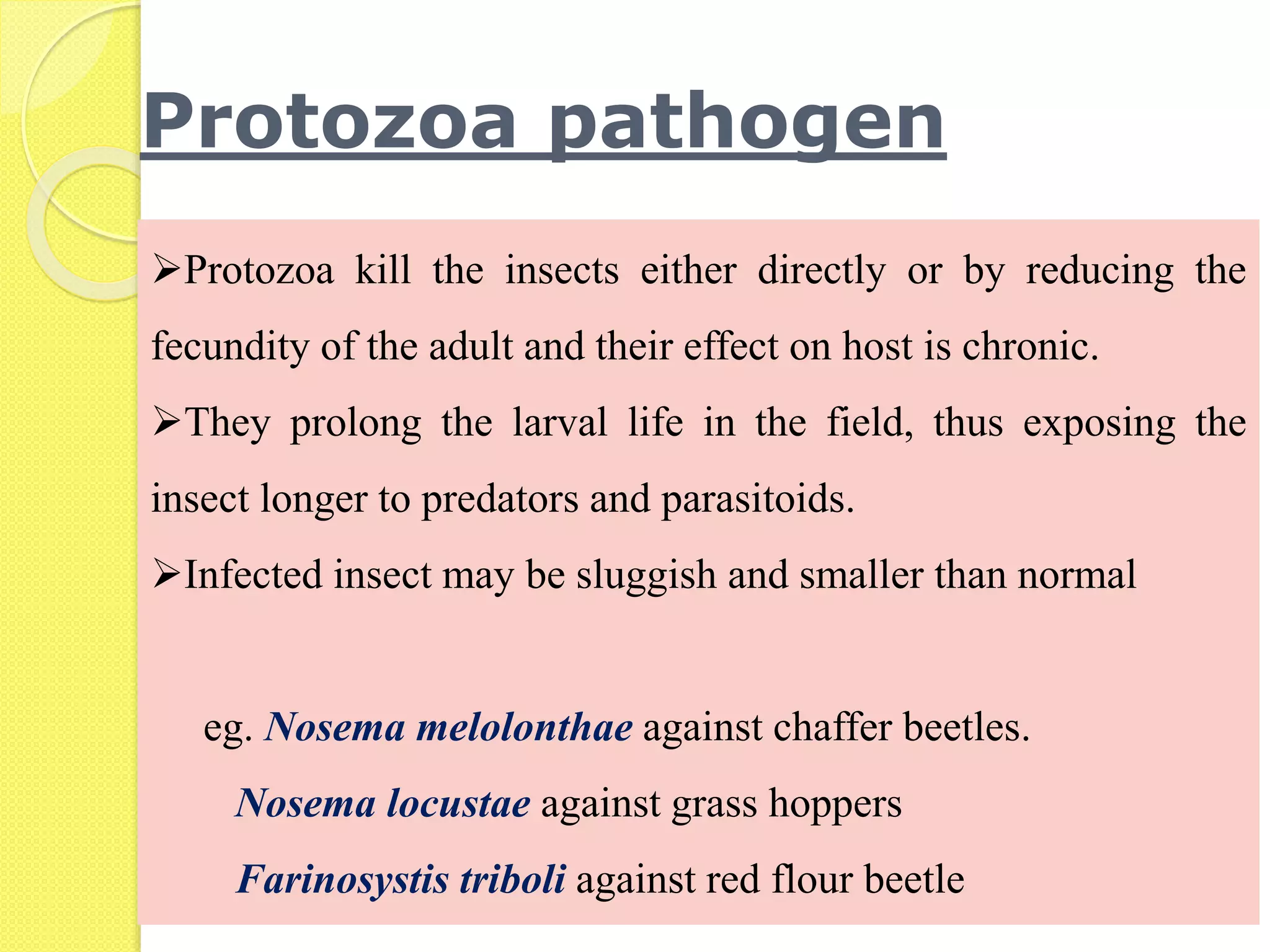 Bio control agent | PPTX