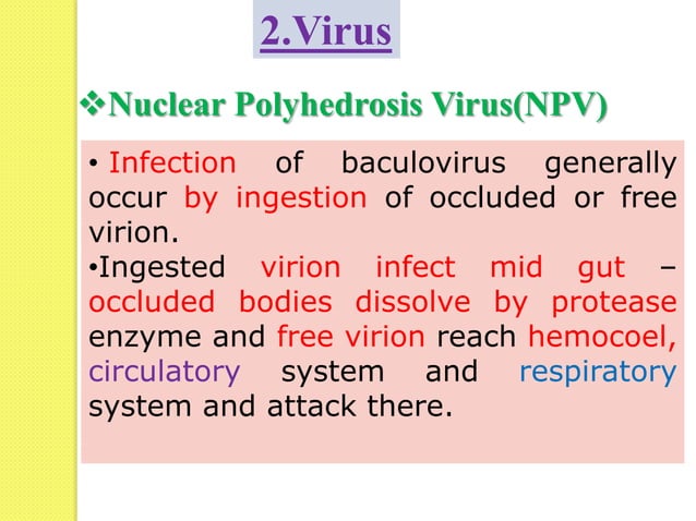 Bio control agent | PPTX