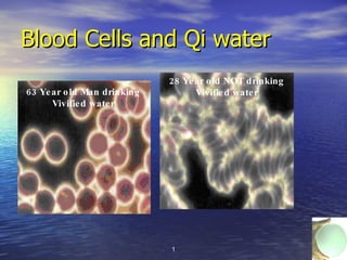 Bio Disc Teaching | PPT